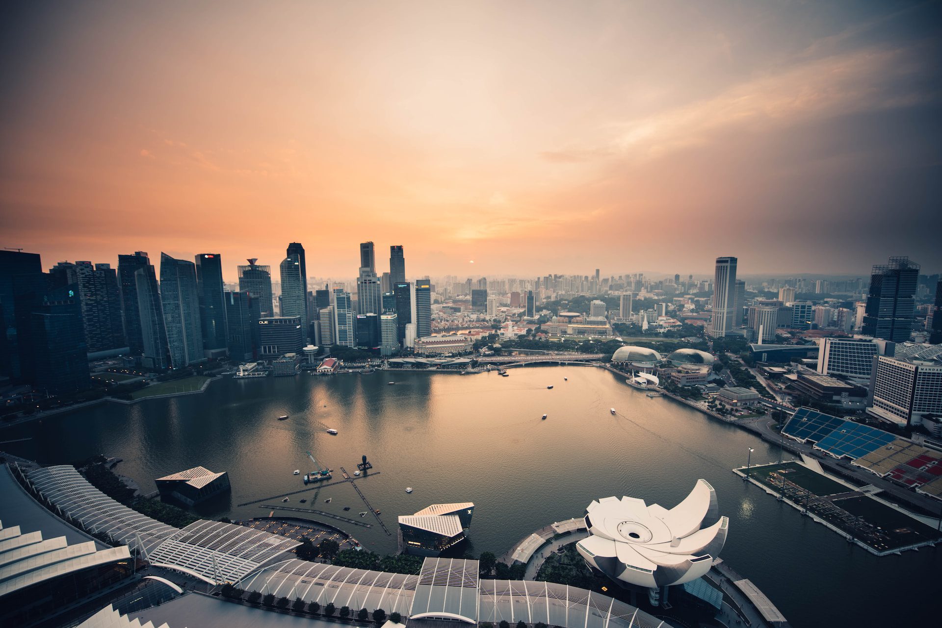 A Guide to Company Directors in Singapore | Lanturn Learning